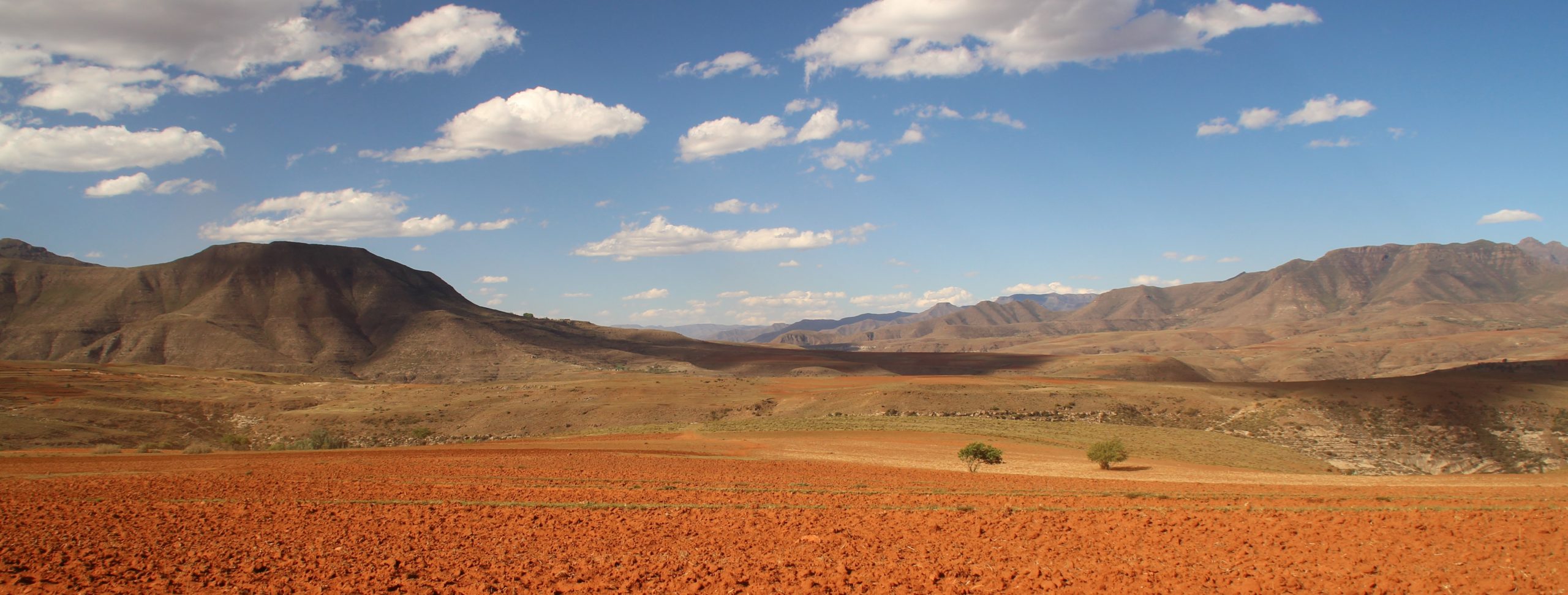 Laetitia BEGHIN - ocilexpat